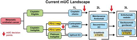 Current Landscape Current Metastatic Urothelial Carcinoma Muc