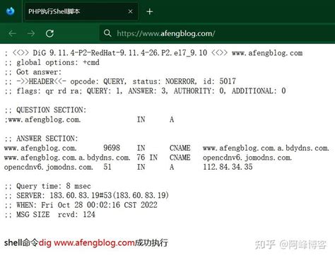 PHP执行Shell脚本或Bash脚本文件并返回命令输出详情 知乎