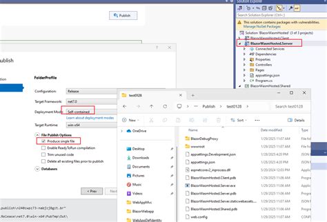 C How To Set Dotnet Publish Command Parameters For Publishing An Asp