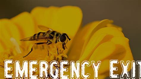 Emergency Exit Font Download Free For Desktop And Webfont