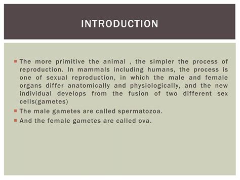 Reproductive System Pptx Reproductive Health Diseases And Conditions