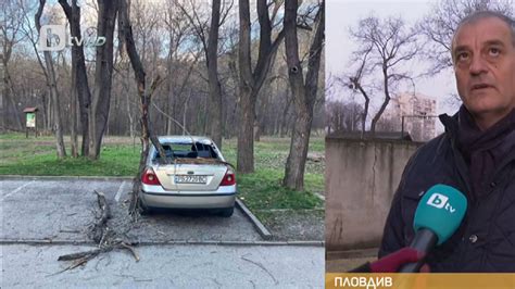 Дърво се стовари върху автомобил в Пловдив Новини бг