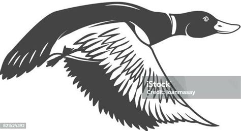 야생 오리 아이콘 흰색 배경에 고립입니다 레이블 상징 기호에 대 한 디자인 요소입니다 벡터 일러스트 레이 션 오리 물새에 대한 스톡 벡터 아트 및 기타 이미지 Istock