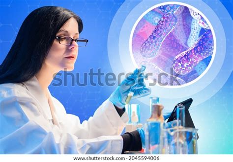 15 张 Bacillus Flask Fermentation 免版税图片、库存照片和图像 Shutterstock