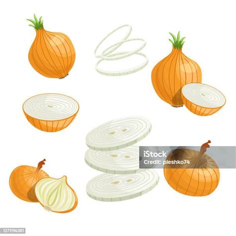 만화 양파 세트 양파 잘라 양파 반지 플랫 심플한 디자인 유기농 농장 신선한 야채의 벡터 그림 흰색 배경에 격리 양파에 대한