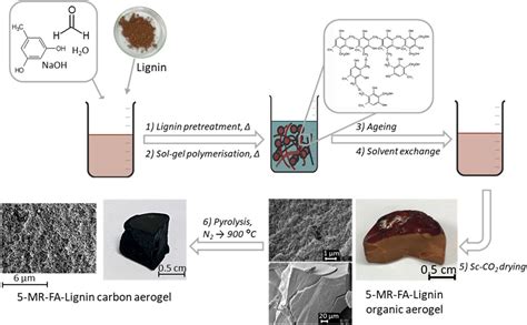 Frontiers Preparation And Characterization Of Lignin Derived Carbon Aerogels