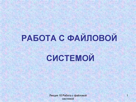 Работа с файловой системой лекция 10 презентация онлайн