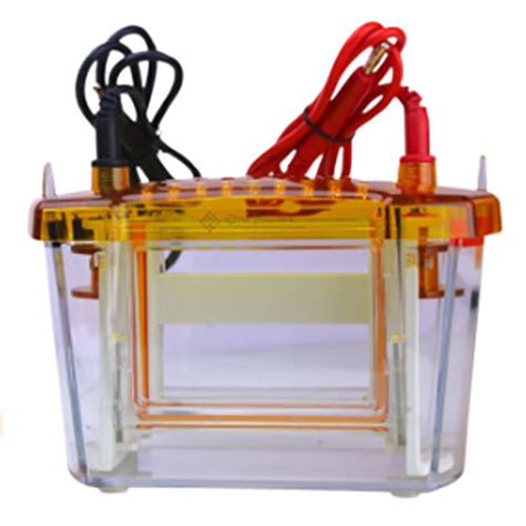 Vertical Gel Electrophoresis With Power Supply Application