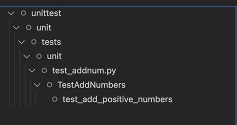 Incorrect Unit Test Paths In Side Panel When Using Both S And T