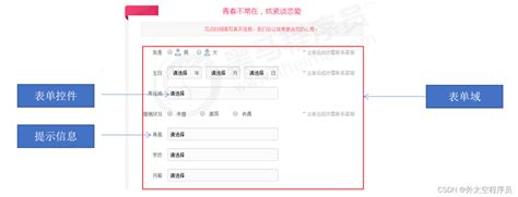 Html表单元素详解 Csdn博客