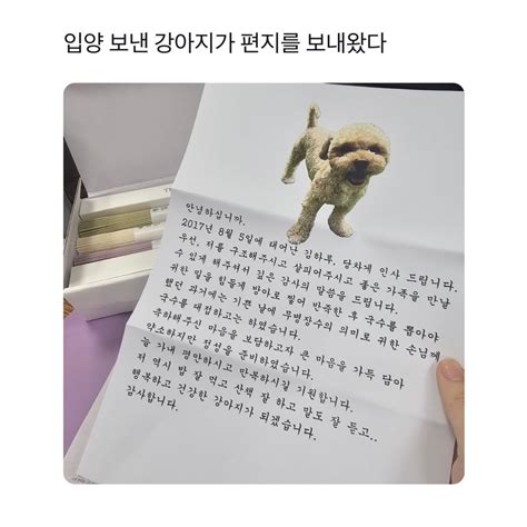 데이 Day 짤 맛집🤳🏻 힝 뿌앵 강아지 편지 Instagram