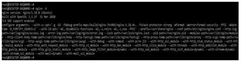 Nginx Default Server How To Setup Nginx Default Server With Parameter