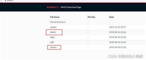Minio对象存储服务介绍、单机和集群部署及其使用 Csdn博客