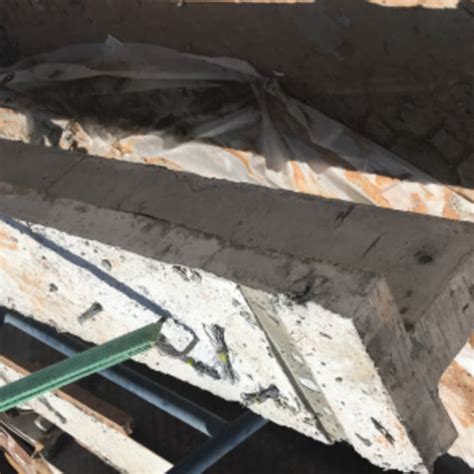 Farah Hammad United Arab Emirates University Al Ain Uaeu