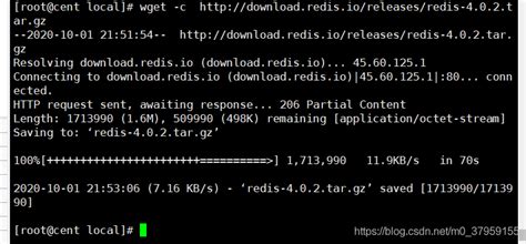 linux下安装redis 超详细，每一步命令都有命令截图及运行截图 linux 安装redis csdn博客