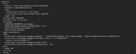 Can T Run Solution In Visual Studio Debug Mode Issue Dotnet Architecture