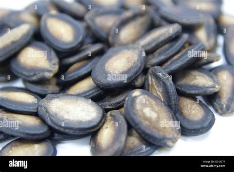 Graine De Melon Noir Banque De Photographies Et Dimages à Haute Résolution Alamy