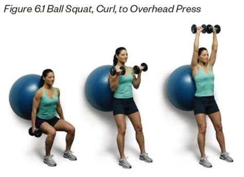 Nasm Resistance Exercises Flashcards Quizlet Nasm Resistance Exercises Flashcards Quizlet