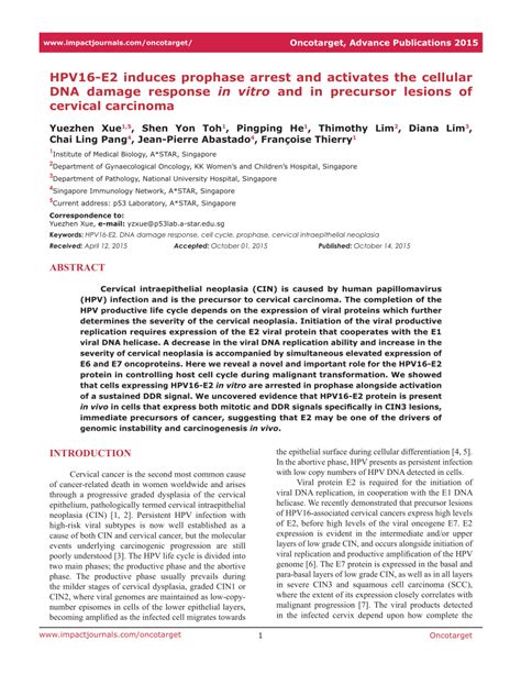 Pdf Hpv16 E2 Induces Prophase Arrest And Activates The Cellular Dna
