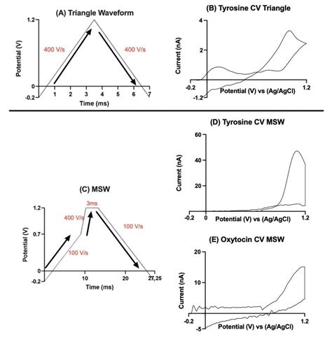 Triangle And Msws With Corresponding Cyclic Voltammograms Cvs A Download Scientific