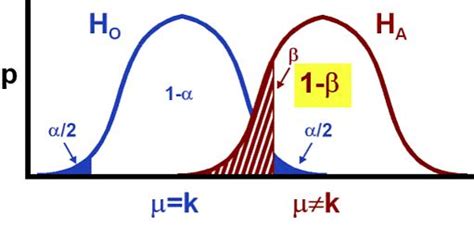 Sampling Error Cartoon In Statistics