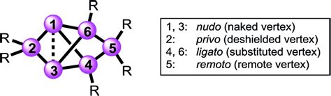 Proposed Prefixes For Unique Assignment Of Vertices In Bridged Download Scientific Diagram