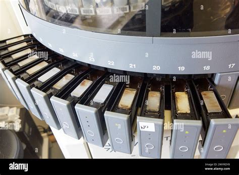 Benchmark Ihc Ish Staining Platforms Automate The Entire Immunohistochemistry Ihc And In Situ