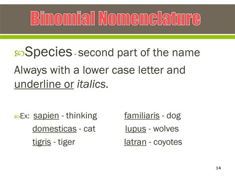 Taxonomy And Classification Ppt Download