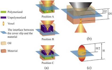 Relationship Between Voxel And The Interface Between The Cover Slip And Download Scientific