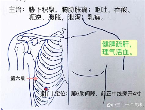 一天记一个穴位—期门