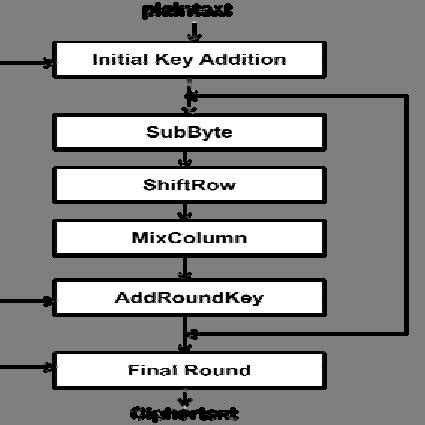 AES Encryption Structure AES 128 Encryption Consists Of 10 Rounds Of Download Scientific