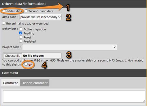Filetransmitting Sightings Non Mandatory Other Informationpng
