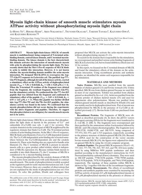 Pdf Myosin Light Chain Kinase Of Smooth Muscle Stimulates Myosin