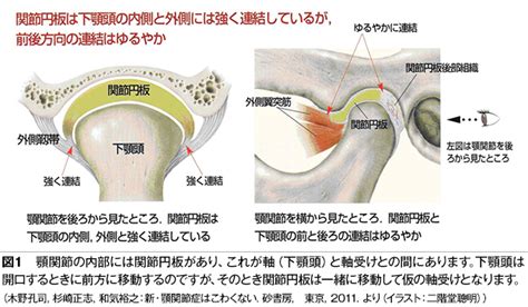 顎関節症って顎がどんな状態になるのですか？ 大阪市阿倍野区西田辺の歯科 いえさき歯科