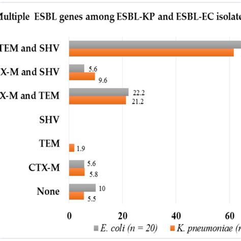 Existence And Proportions Of Multiple Esbl Genes Among Phenotypic