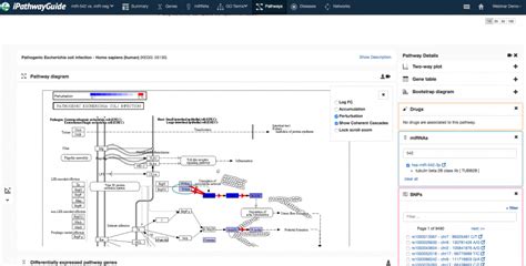 Pathway Analysis Vs Gene Set Analysis Advaita Bioinformatics