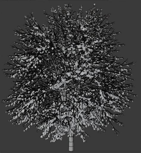 Tree Pbr Model TurboSquid 1528843