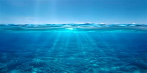 The Impact Of Deep Sea Mining On Ocean Ecosystems And Conservation