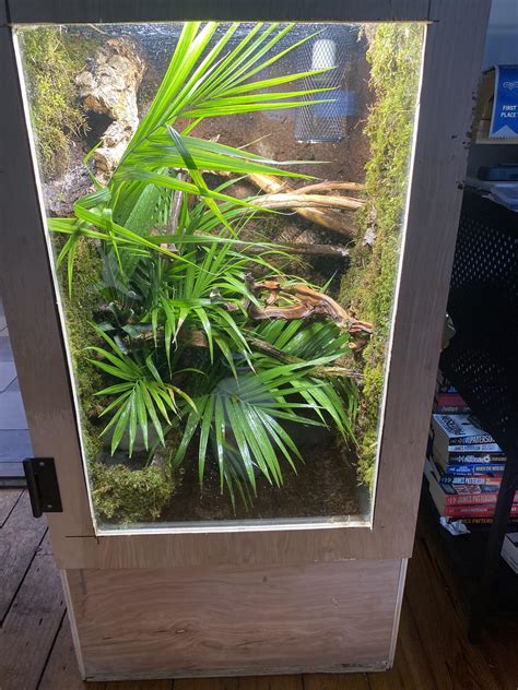 Diy Reptile Enclosures All Done Now Let It Sit For A Week Or 2