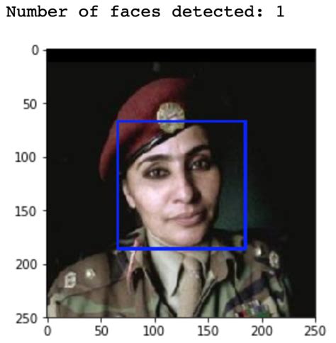 Convolutional Neural Networks¶ Project Dog Breed Classification¶ By Mr Sinha Medium