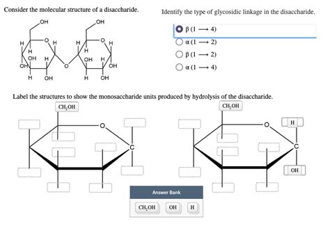 Solved Consider The Molecular Structure Of A Disaccharide