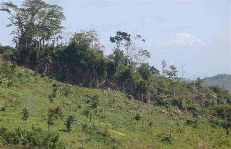 Exposure Of Breccia Vein At Mencanggah Sw Lombok Showing Typical Download Scientific Diagram