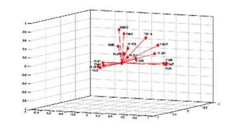 Variables Coordinates After The Varimax Rotation Download Scientific Diagram