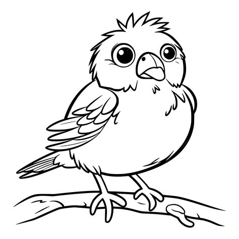 어린이를 위한 재미있는 작은 새 색칠 공부 페이지 프리미엄 벡터