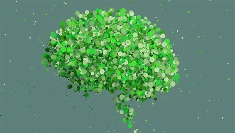 יש לכם לפחות 3 מוחות האם אתם יודעים איך להשתמש בהם נכון עם רונית גולדברג מטרות המרכז