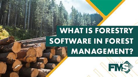 What Is Forestry Software In Forest Management