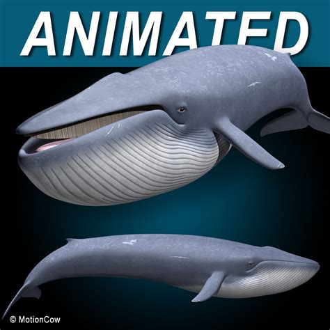 Live Ocean 3d Models Blender Blend Download Free3d