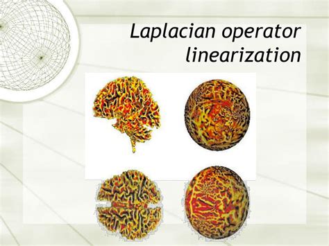 Ppt Genus Zero Surface Conformal Mapping And Its Application To Brain Surface Mapping