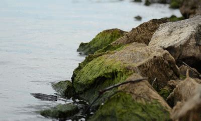 Post Dabasaurus Sex Tumblr Com Tumbex