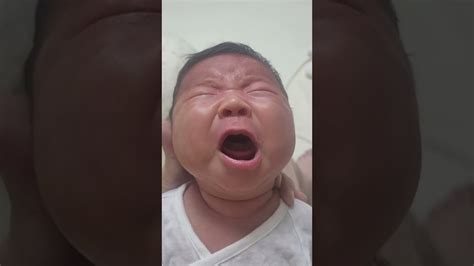 제 울음 소리 어때요 Youtube